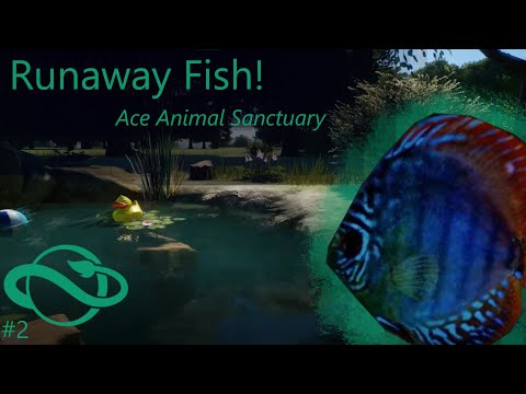 Steam Community :: Video :: Planet Zoo | Runaway Fish | Ace Animal ...