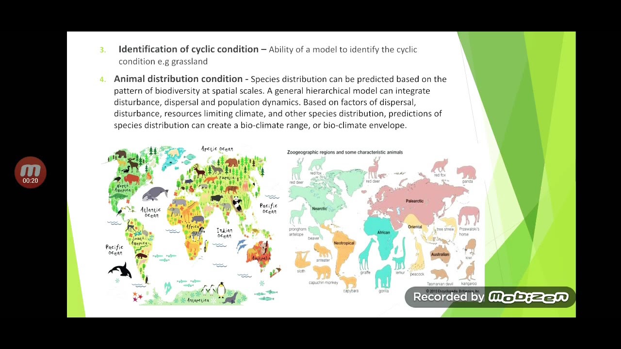 PowerPoint presentation on topic 