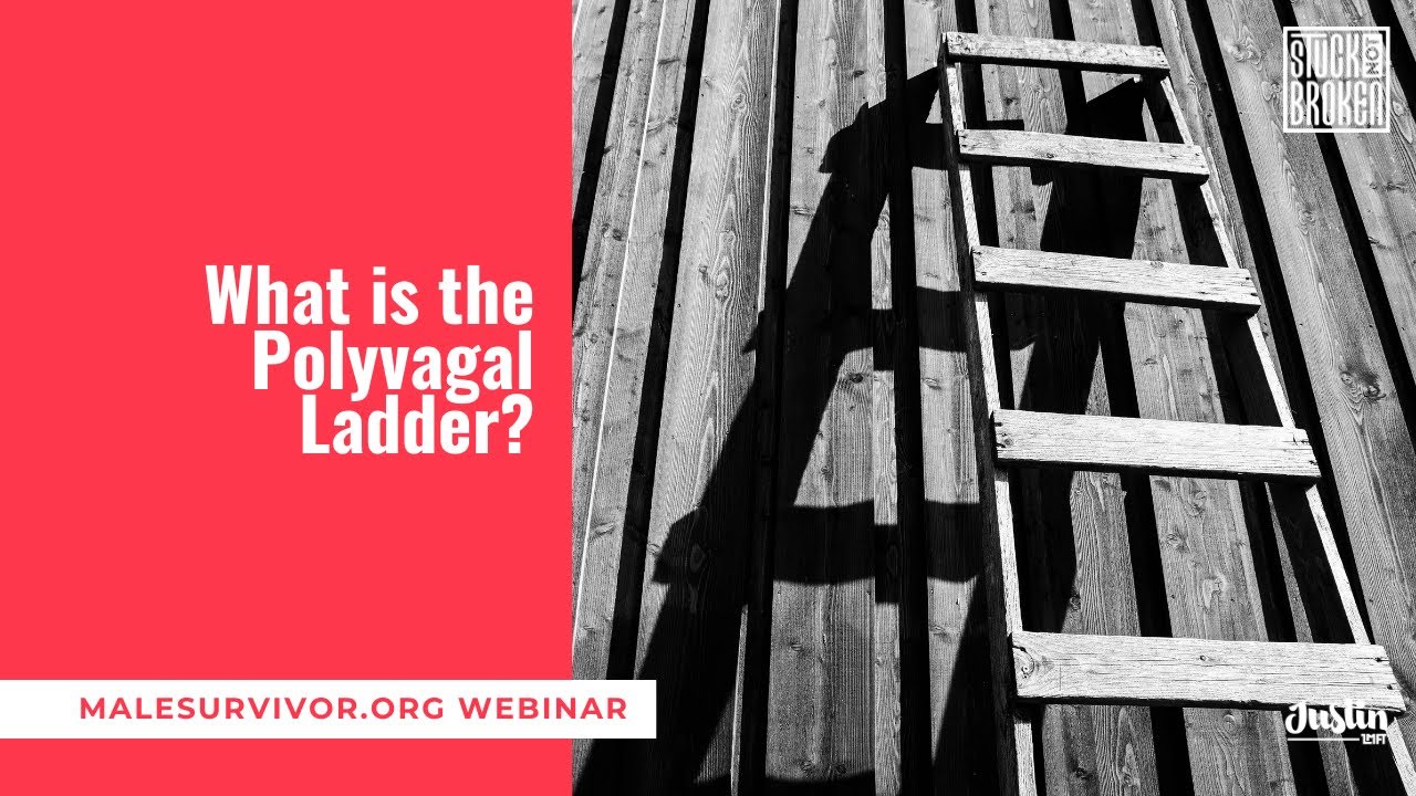 What is the Polyvagal Ladder?