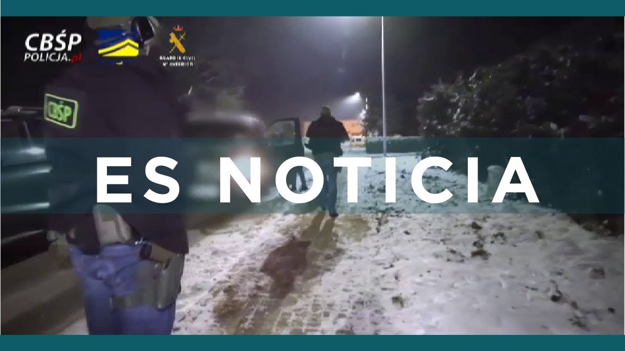 Es noticia: Desmantelada la organización más activa de tráfico de marihuana en Europa