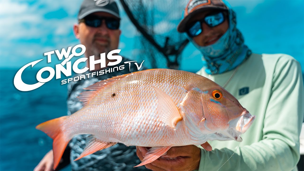 How to Catch SNAPPER, MACKEREL, AMBERJACK on the Reef and Wrecks | Two Conchs Online TV/Episode 7