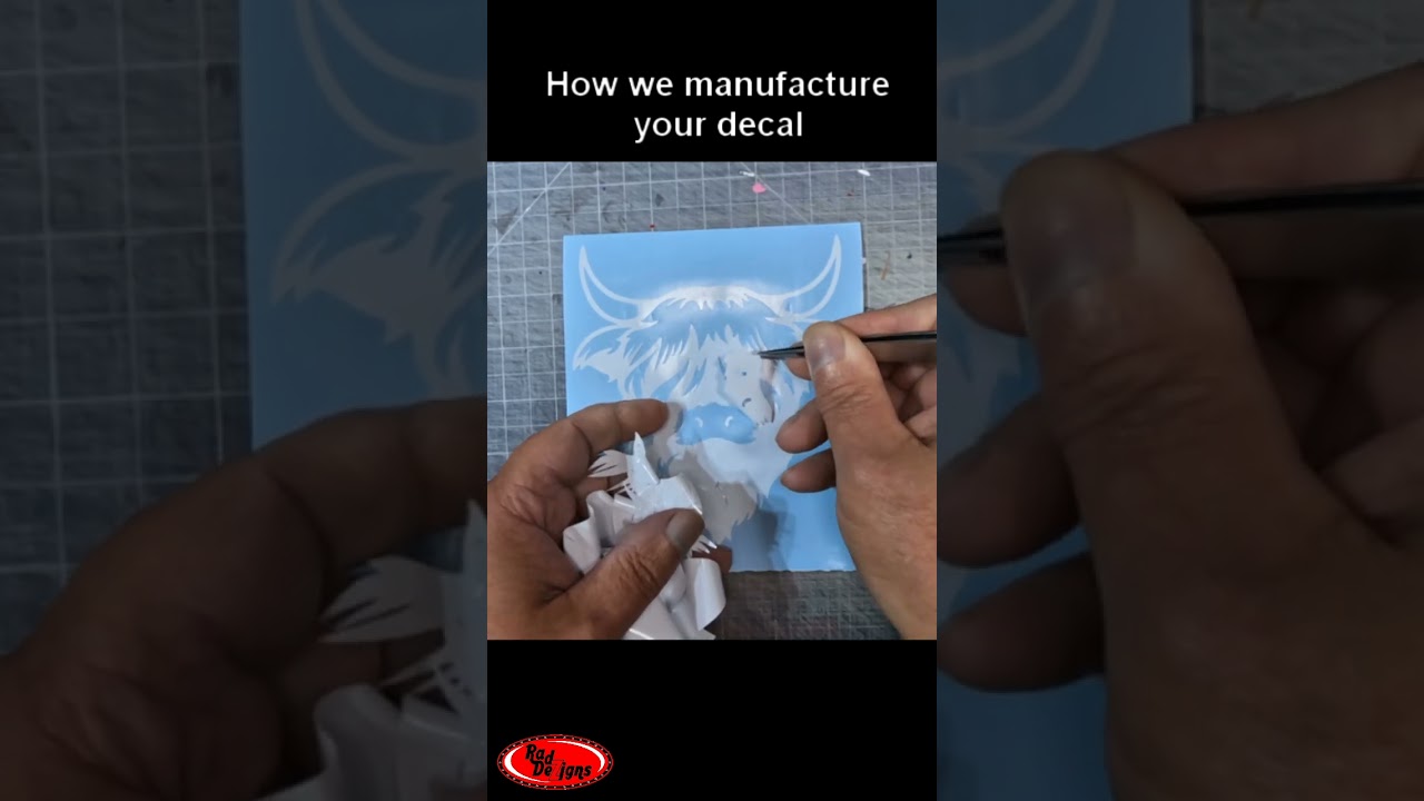 13637 Cute Long Haired Highland Bull Car or Truck Window Decal Sticker