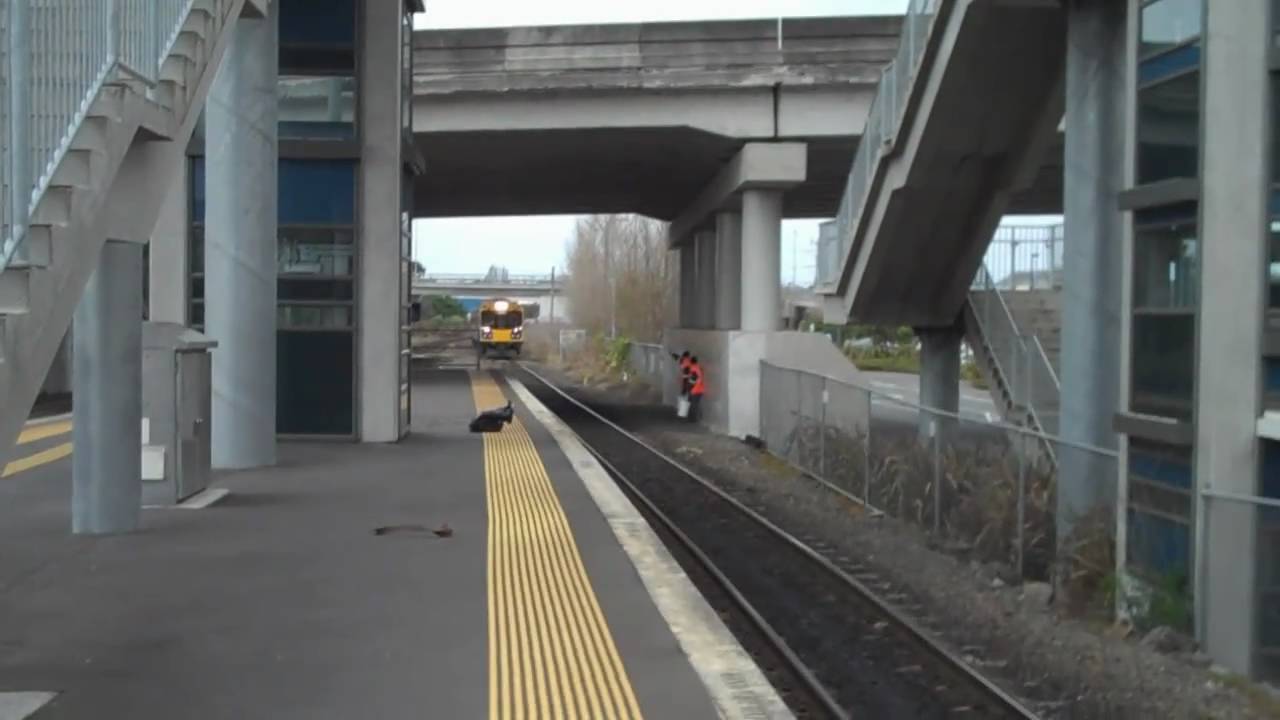 Photos - Free trains - nzrailphotos.co.nz