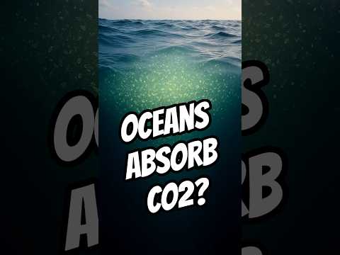 How the Ocean Absorbs CO2 🌊 (And Why It's Saving Us)