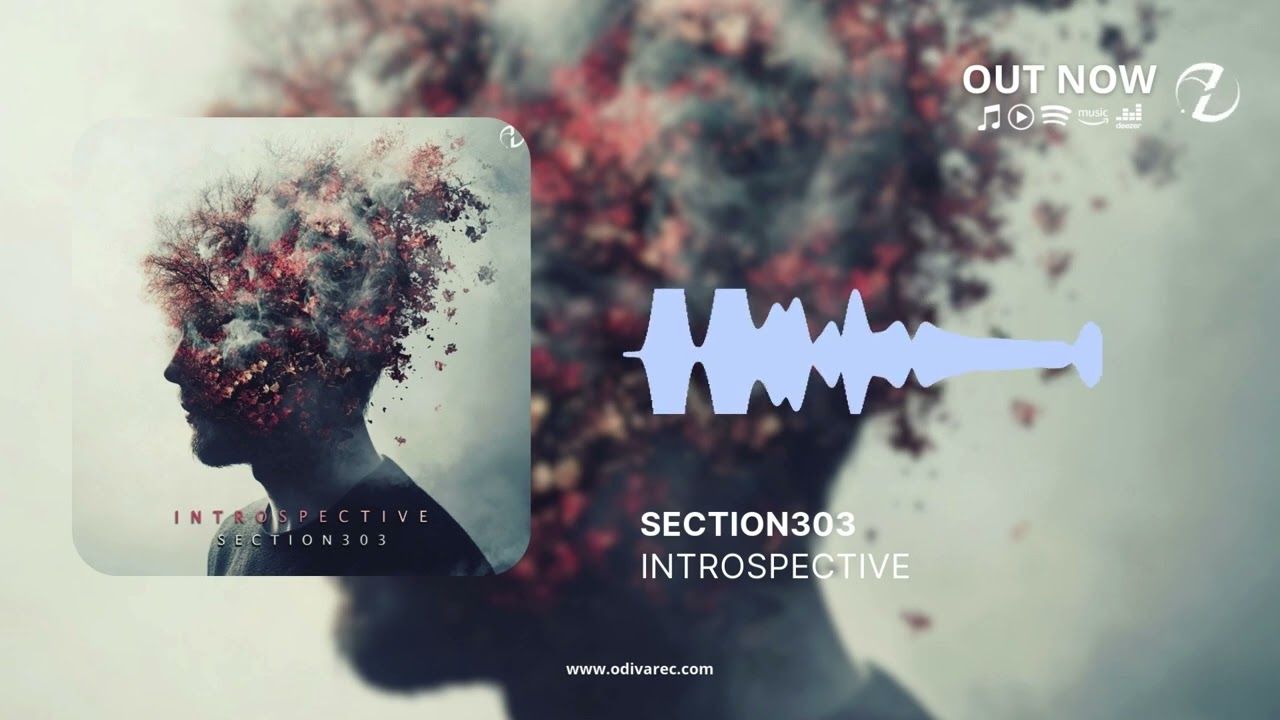 Section303 - Introspective (Official Audio)