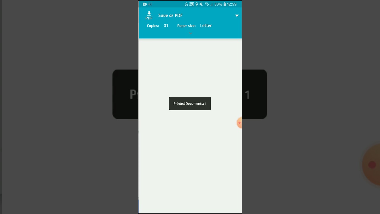 How save  shipping labels and invoices as a PDF