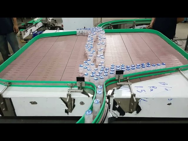 Slat Chain Conveyor - Heavy Duty Slat Conveyor Service Provider from ...