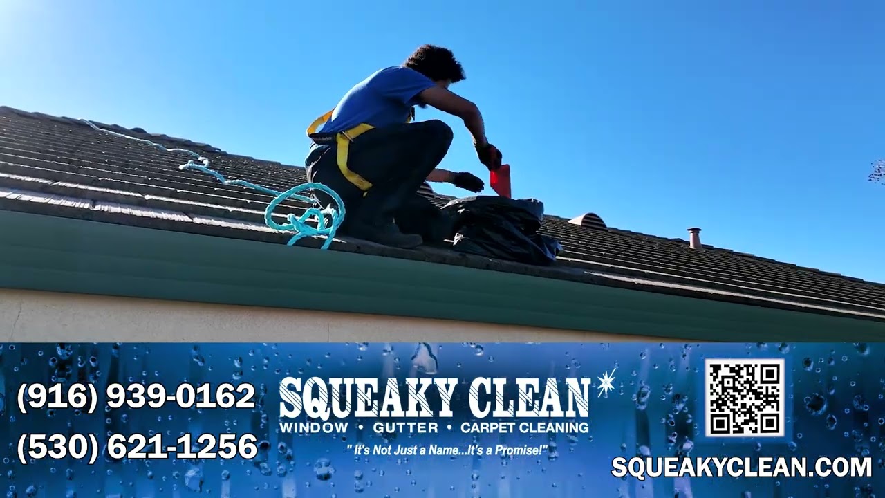 An Introduction to Squeaky Clean