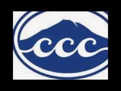 CCC AND BCC COURSE APPROVED FROM NIELIT AND DOEACC SOCIETY MEERUT