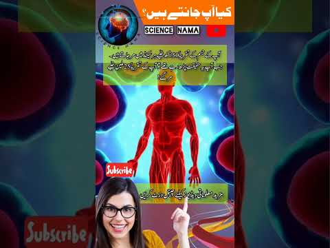 human body cells #shorts #urdu #inurdu #facts #urdufacts #scienceurdu #cells #humanbody
