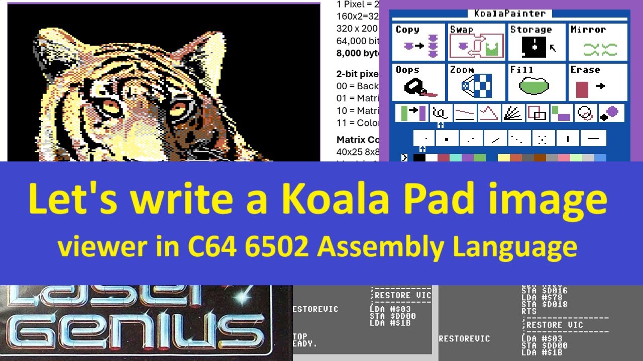 Let's write a program to load and view KOALA Pad picture files on your C64 using Assembly Language.