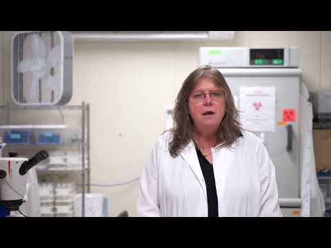 Dr Susan Jarvi tells us about the Parasite, rat lungworm disease