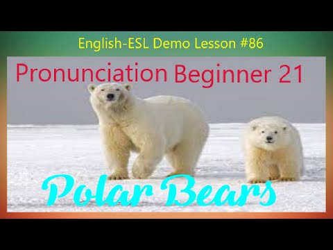 English-ESL Demo Lesson #86; Pronunciation Beginner 21 - Polar Bears Need help