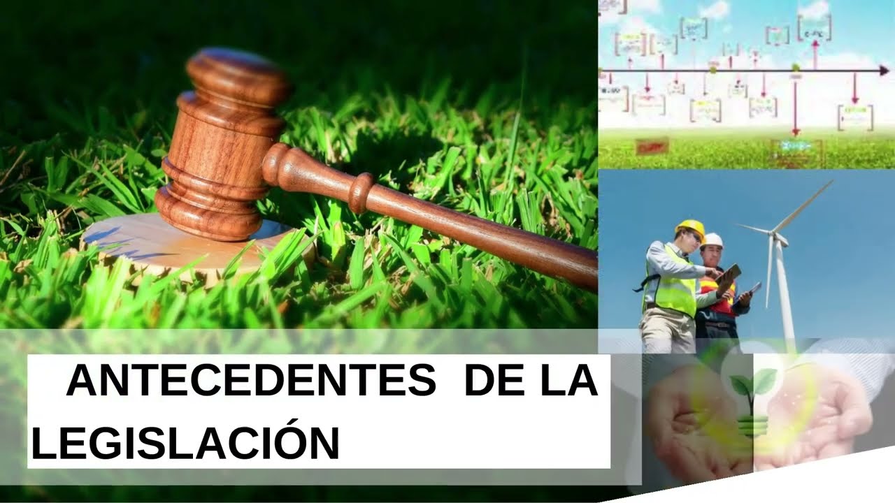 ANTECEDENTES A LA LEGISLACIÓN AMBIENTAL