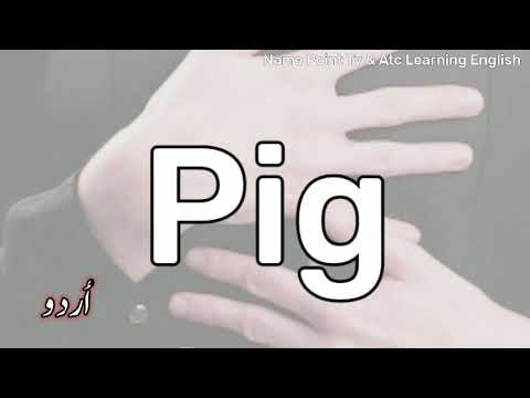 Pig Meaning In Hindi | Pig Meaning In Urdu | Pig Ka Matlab Kya Hota Hai | Pig Ka Meaning Kya Hoga