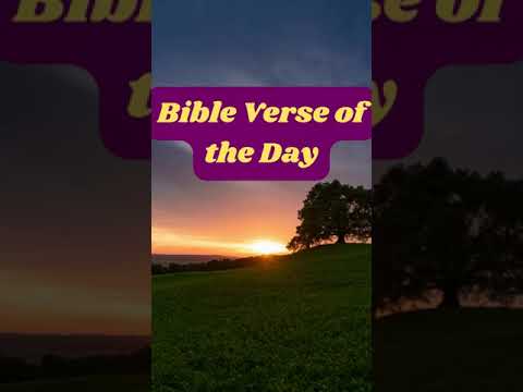 Bible Verse of The Day #shorts #Bible quotes