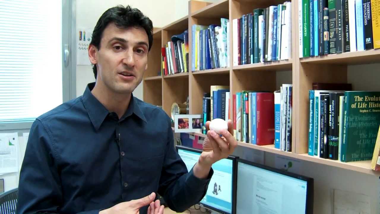 Developmental Cell Levin/Yanai Video Abstract