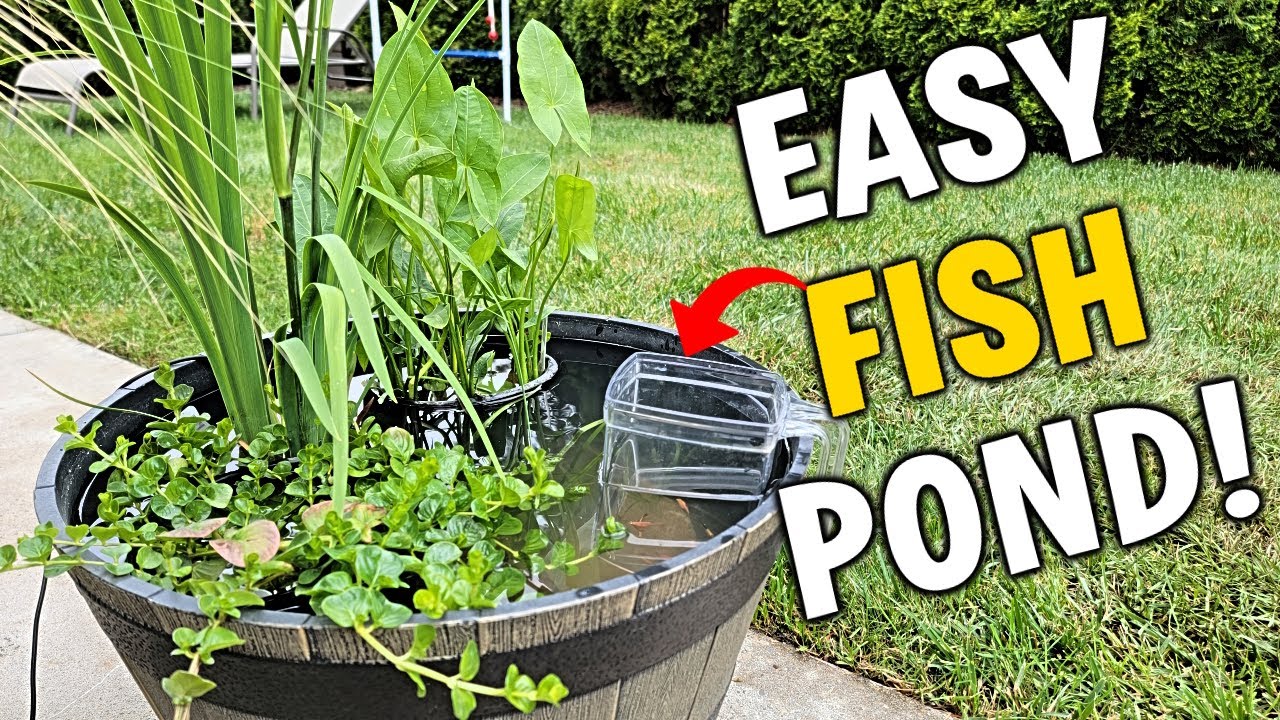 Easy NO-PLUG Fish Pond Tutorial For Back Patio / Deck