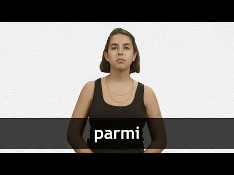 English Translation of “PARMI” | Collins French-English Dictionary