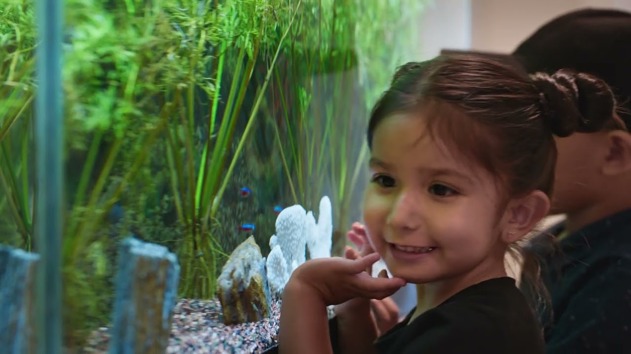 Blue Sky Bridge - Keeping children safe since 1995