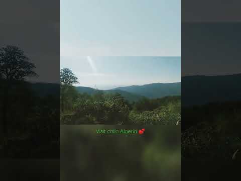 green picture 💚 countryside forest