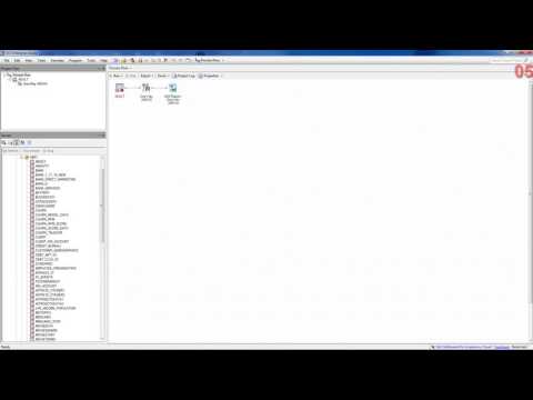 Using SAS   One-way ANOVA