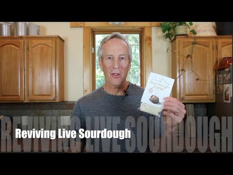 Reviving a Live Sourdough Starter
