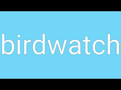 Birdwatch Definition & Meaning