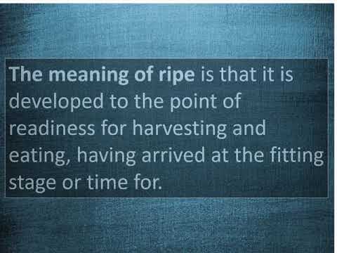 What Is Meaning Of Ripe