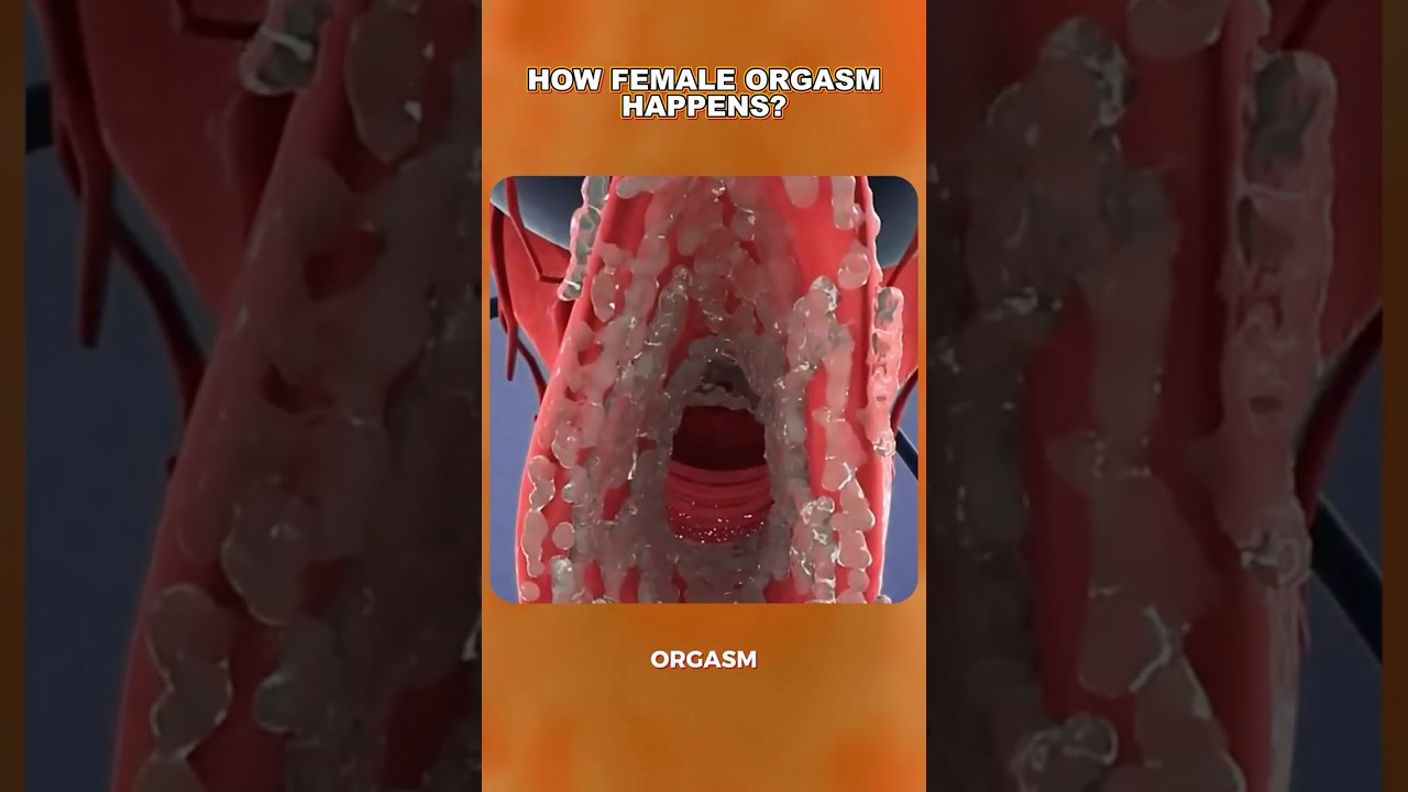 The AMAZING Science Behind Female Orgasm