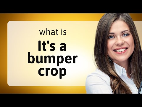 Unveiling the Rich Harvest: Understanding "It's a Bumper Crop"