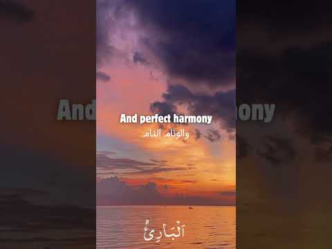 The Meaning of Allah's Name Al Bari' - Muslim Institution