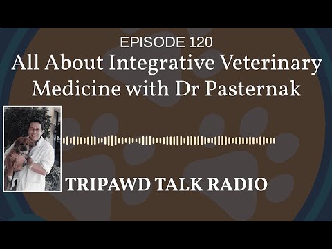 Integrative Veterinary Medicine with Dr Pasternak on Tripawd Talk Radio
