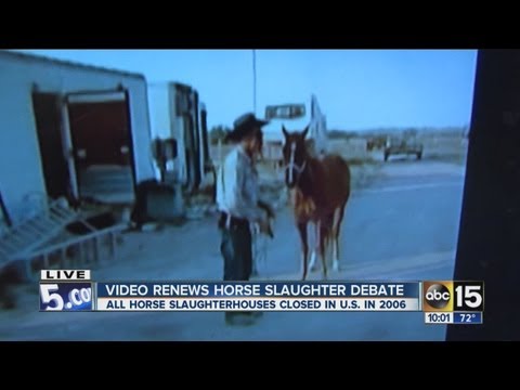 Video renews horse slaughter debate