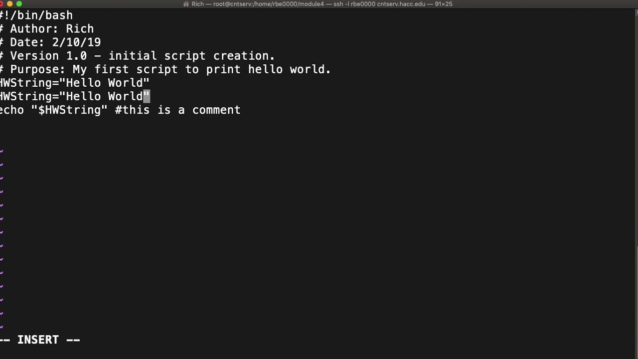 Shell scripting 101: Using variables
