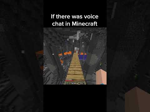 If Minecraft added Voice chat...