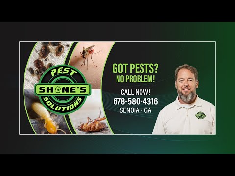 Shane's Pest Solutions