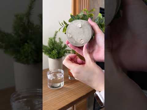 Home hack for moms and pet owners #homehacks #lifehacks #bestproducts #hometips