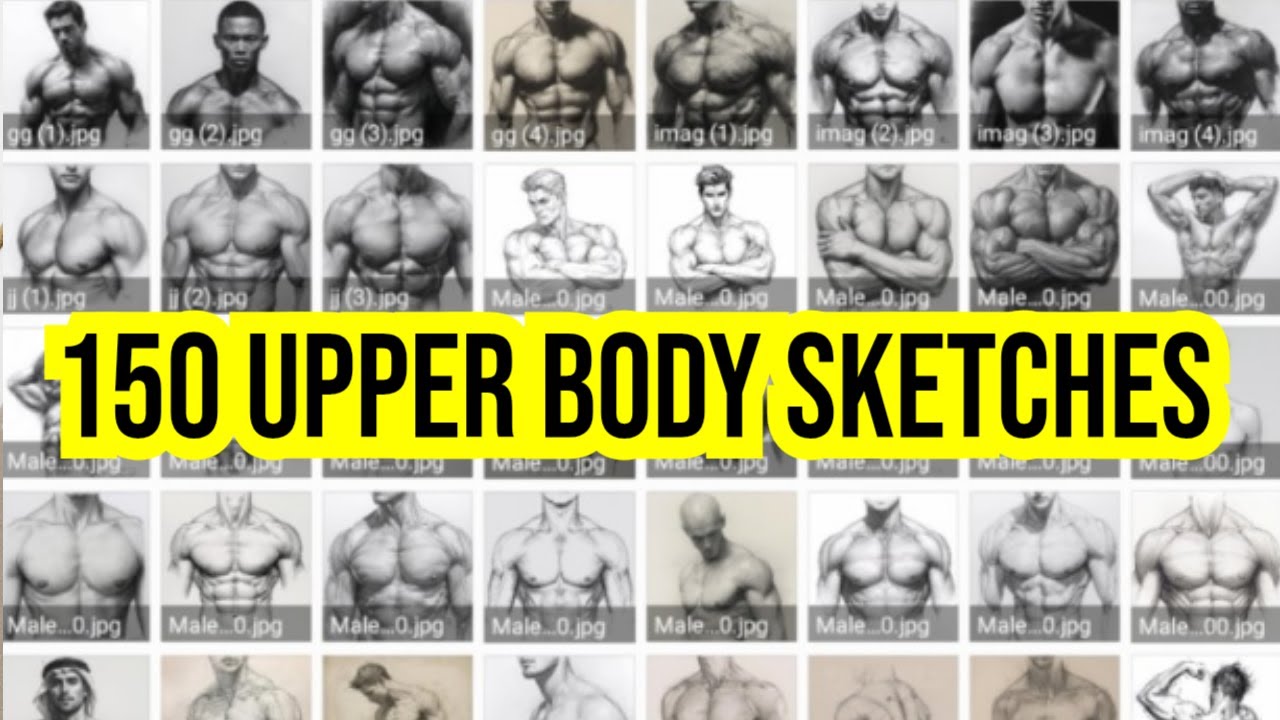 Master Figure Drawing : 150 Torso Reference Poses You Need | Drawing Reference Images