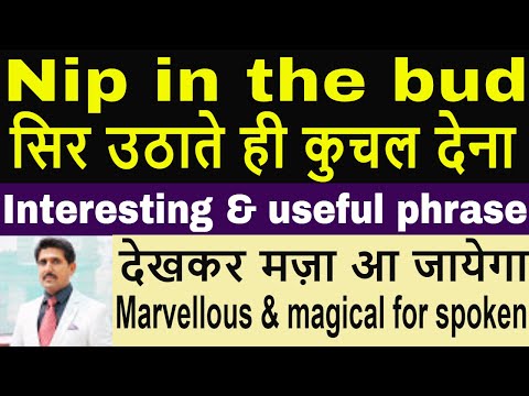 Nip in the bud सिर उठाते ही कुचल देना,शुरूआत में ही रोक देना