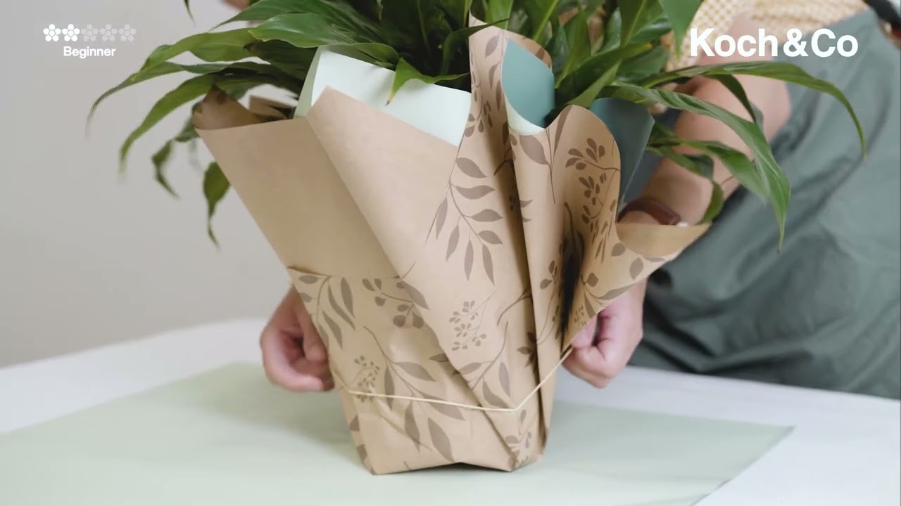 How To Wrap A Potted Plant With Our Printed Kraft Wrap