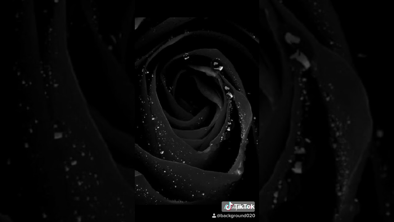 #Black wallpaper#background Forever