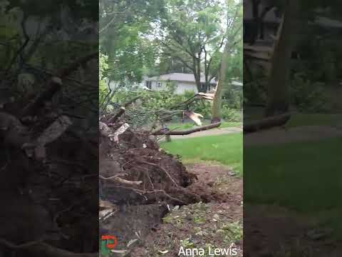 Videos of severe storms and the damage from across Wisconsin - June 13, 2022