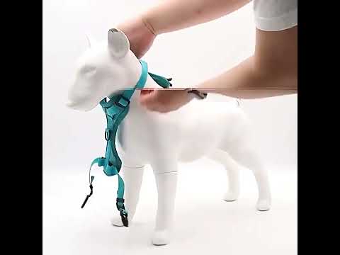 Dog Harness Leash Set Adjustable Pet Harness Vest For Small Large Dog Cat