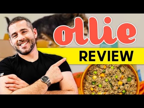 Ollie Dog Food Review | Is It The Best Fresh Dog Food?