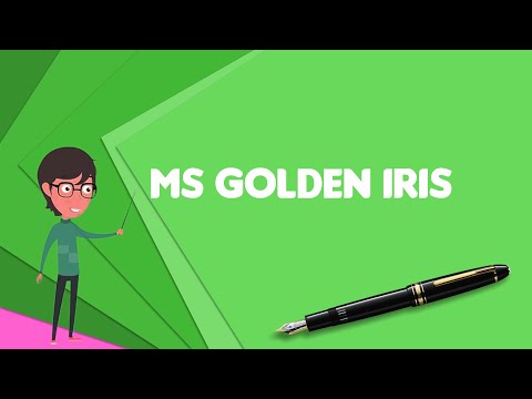 What is MS Golden Iris? Explain MS Golden Iris, Define MS Golden Iris, Meaning of MS Golden Iris