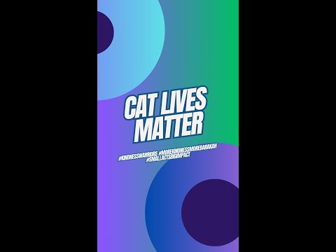 Cat Lives Matter: The Unwavering Faith & Kindness of Palestinians