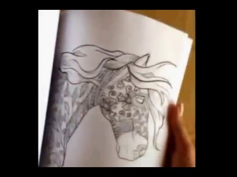 Amazing Animal Adult Coloring Book Review Flip Through
