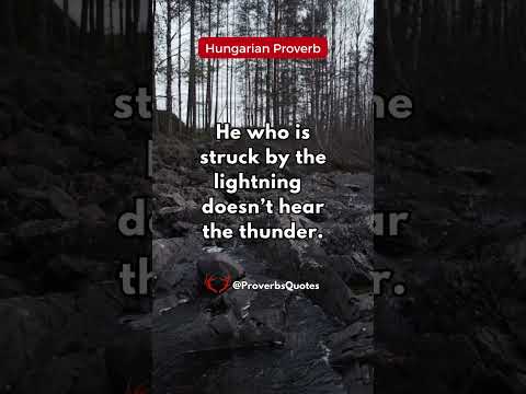 He who is struck by the lightning doesn’t hear the thunder #HungarianProverb #shorts #subscribe