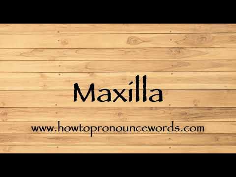 How To Pronounce Maxilla ? How To say Maxilla New Video